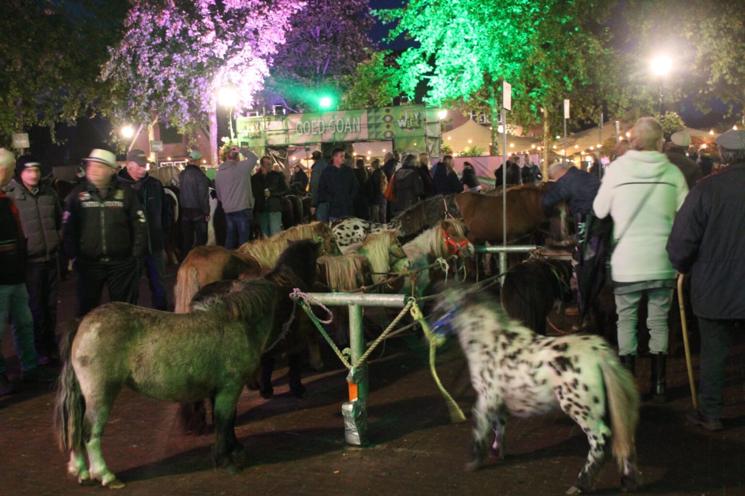 Handig om te weten... - Ponyweek Heeten