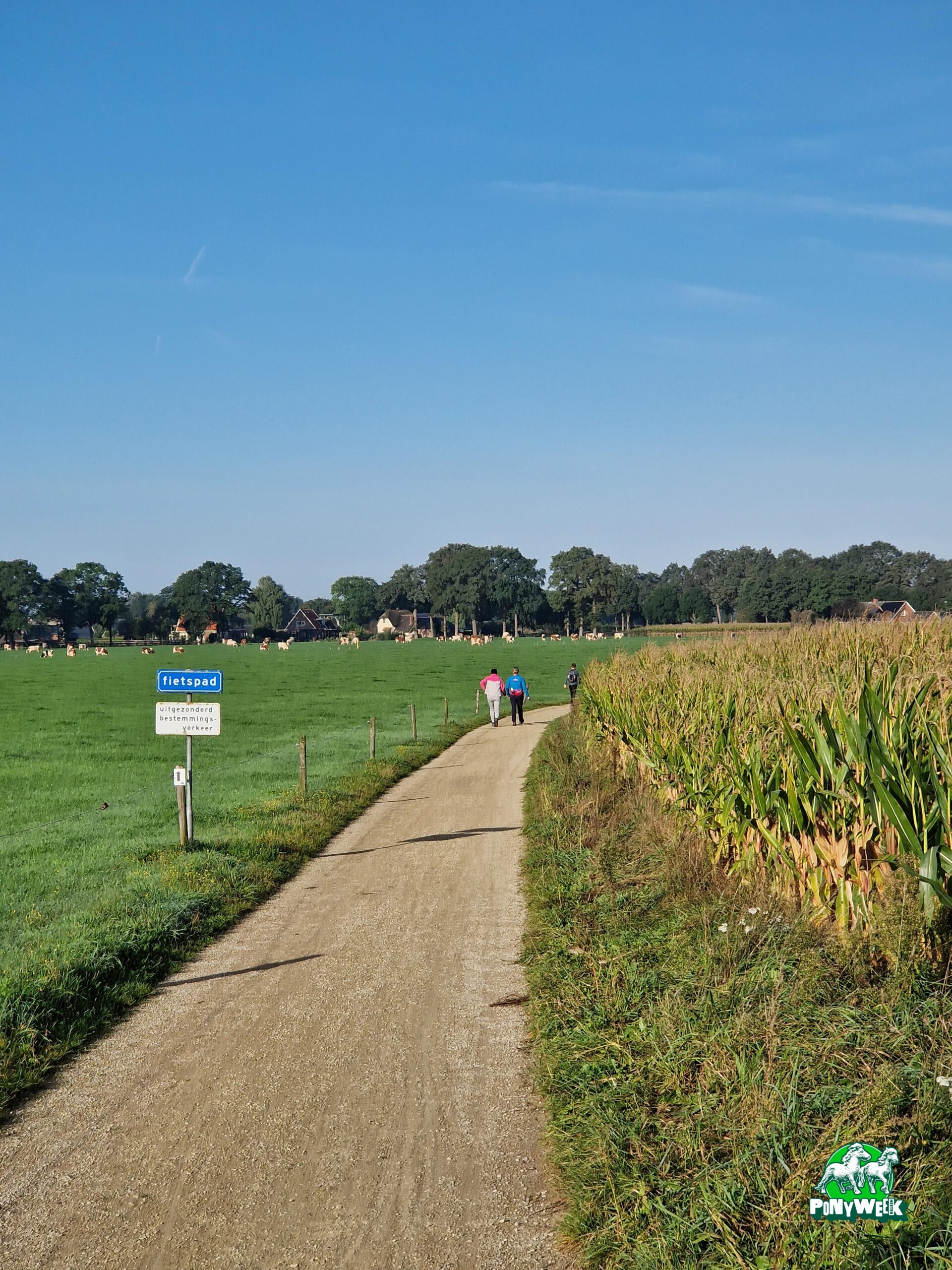 Kijk terug | Ponyweek 2023 | 60e editie - Ponyweek Heeten