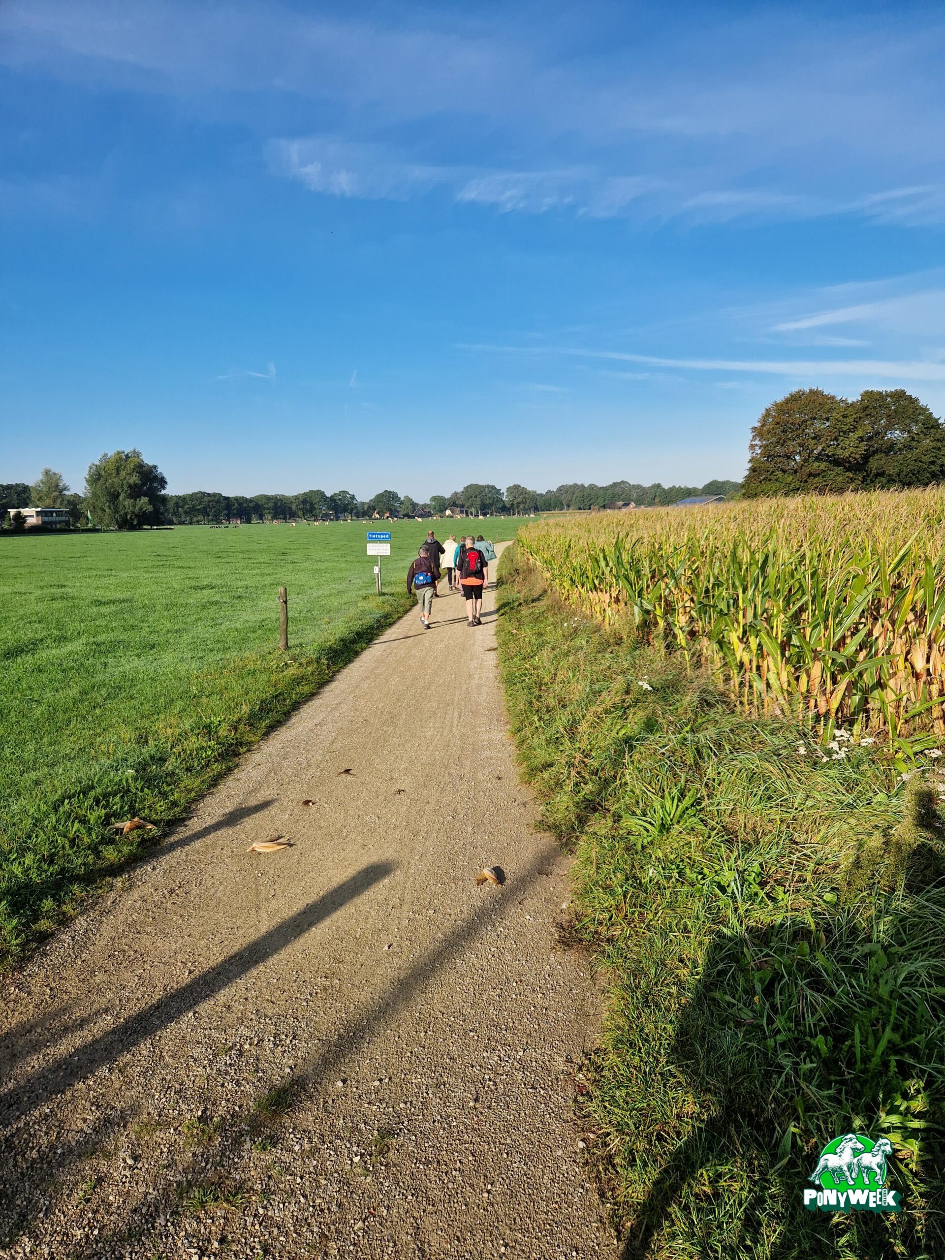 Kijk terug | Ponyweek 2023 | 60e editie - Ponyweek Heeten